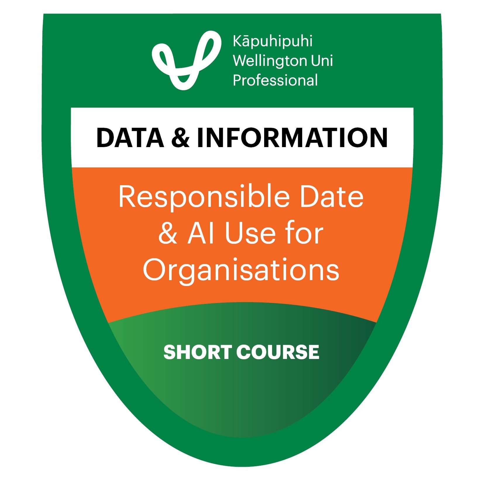Responsible Data & AI Use for Organisations - Wellington Uni Professional Learning